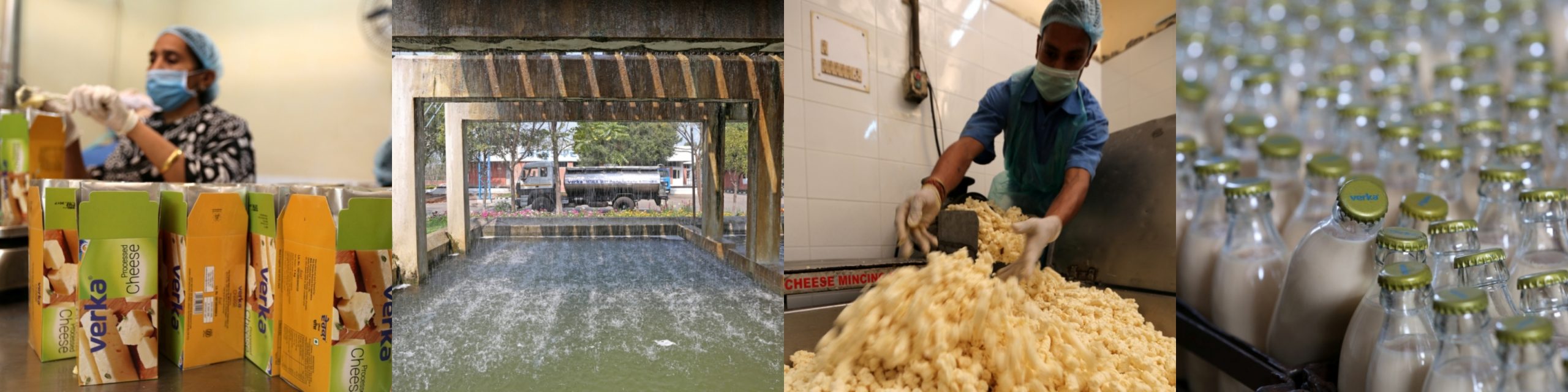 Milk And Winters - Punjab Milk Producers Federation & Cooperative ...